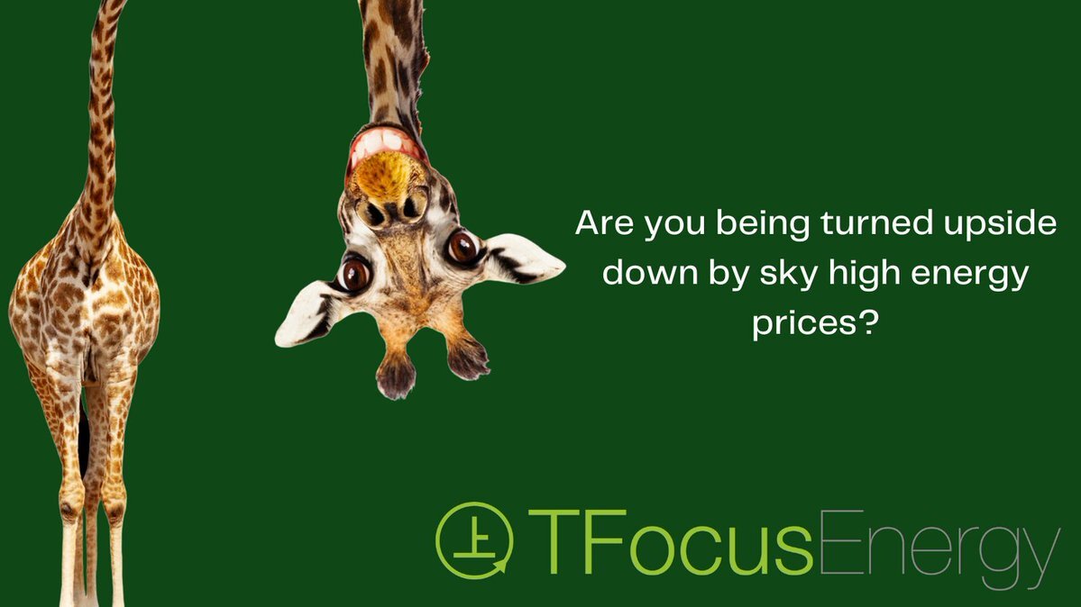 Contact - Reduce Energy Bills - TFocus Energy